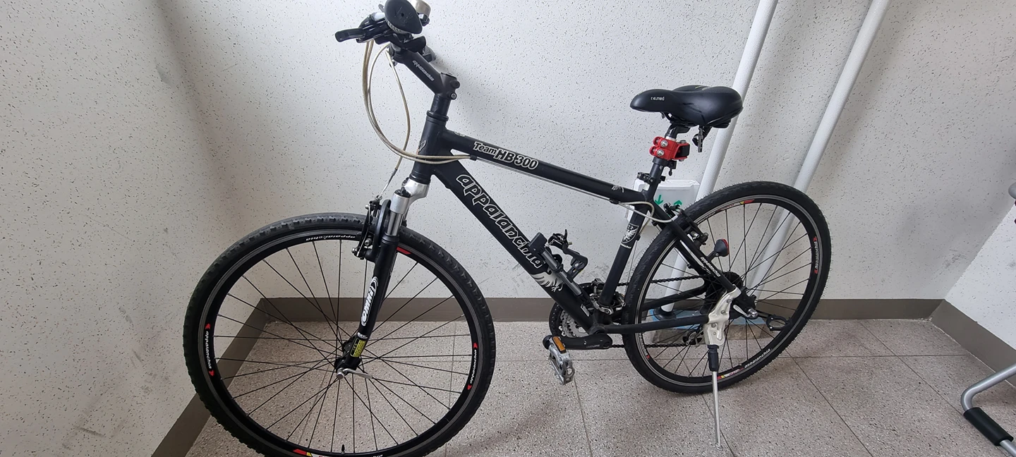 아팔란치아 HB300 하이브리드... | 당근 중고거래