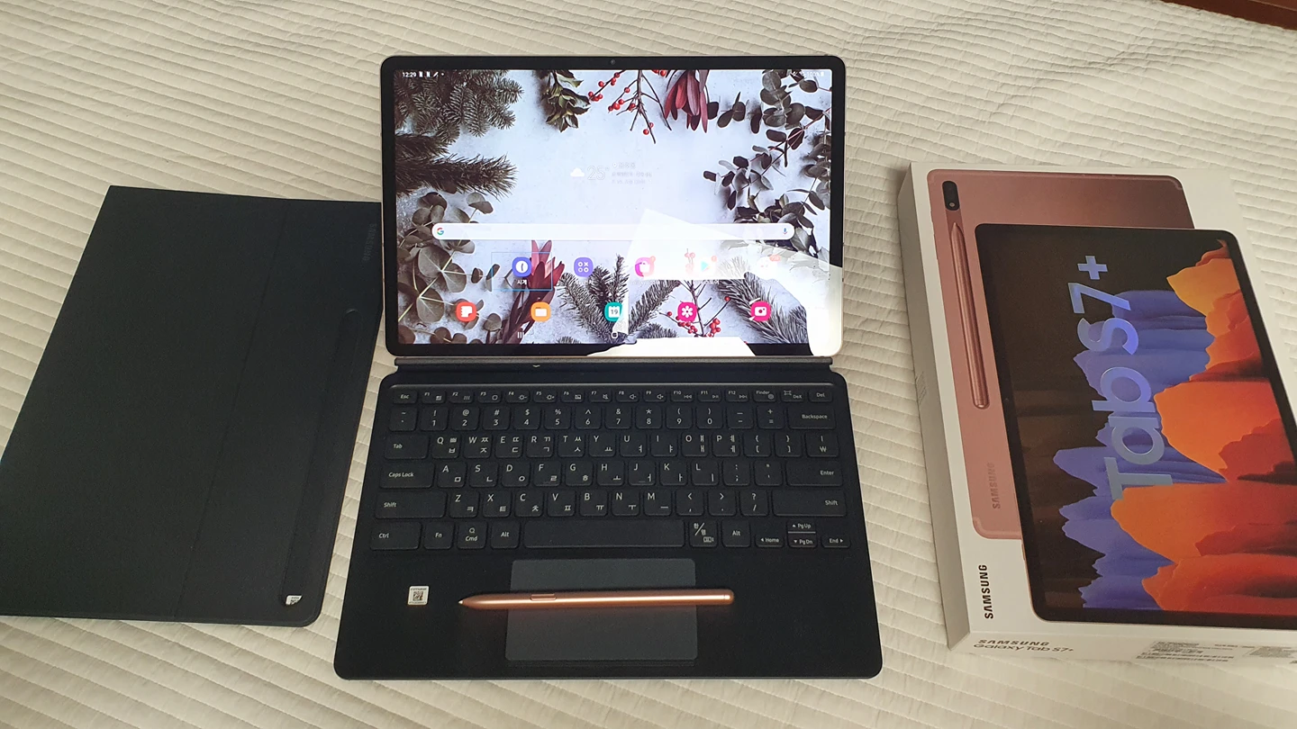 갤럭시탭 S7+, 256GB (... | 당근 중고거래