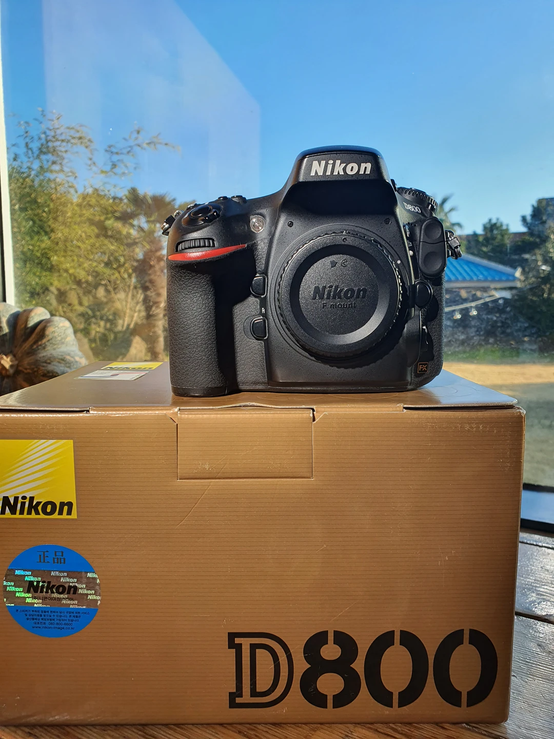니콘 D800 nikon d80... | 당근마켓 중고거래