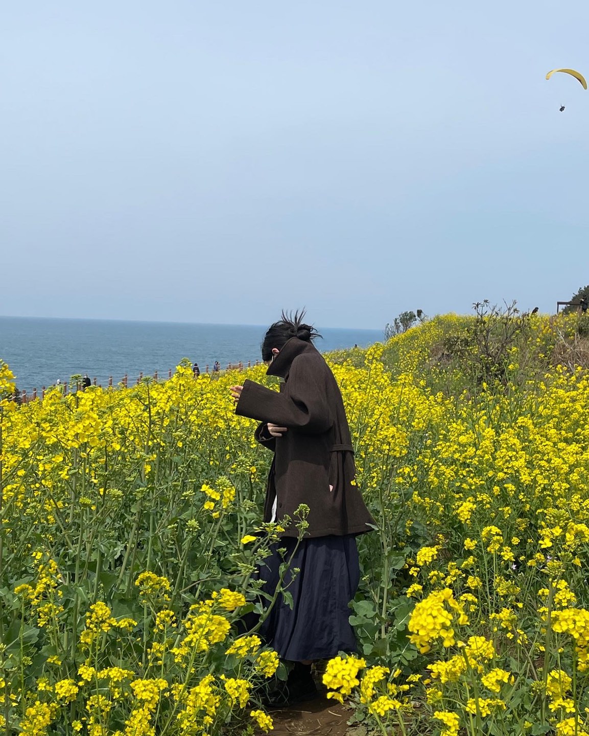 르17 le17 917 Ragl... | 당근 중고거래