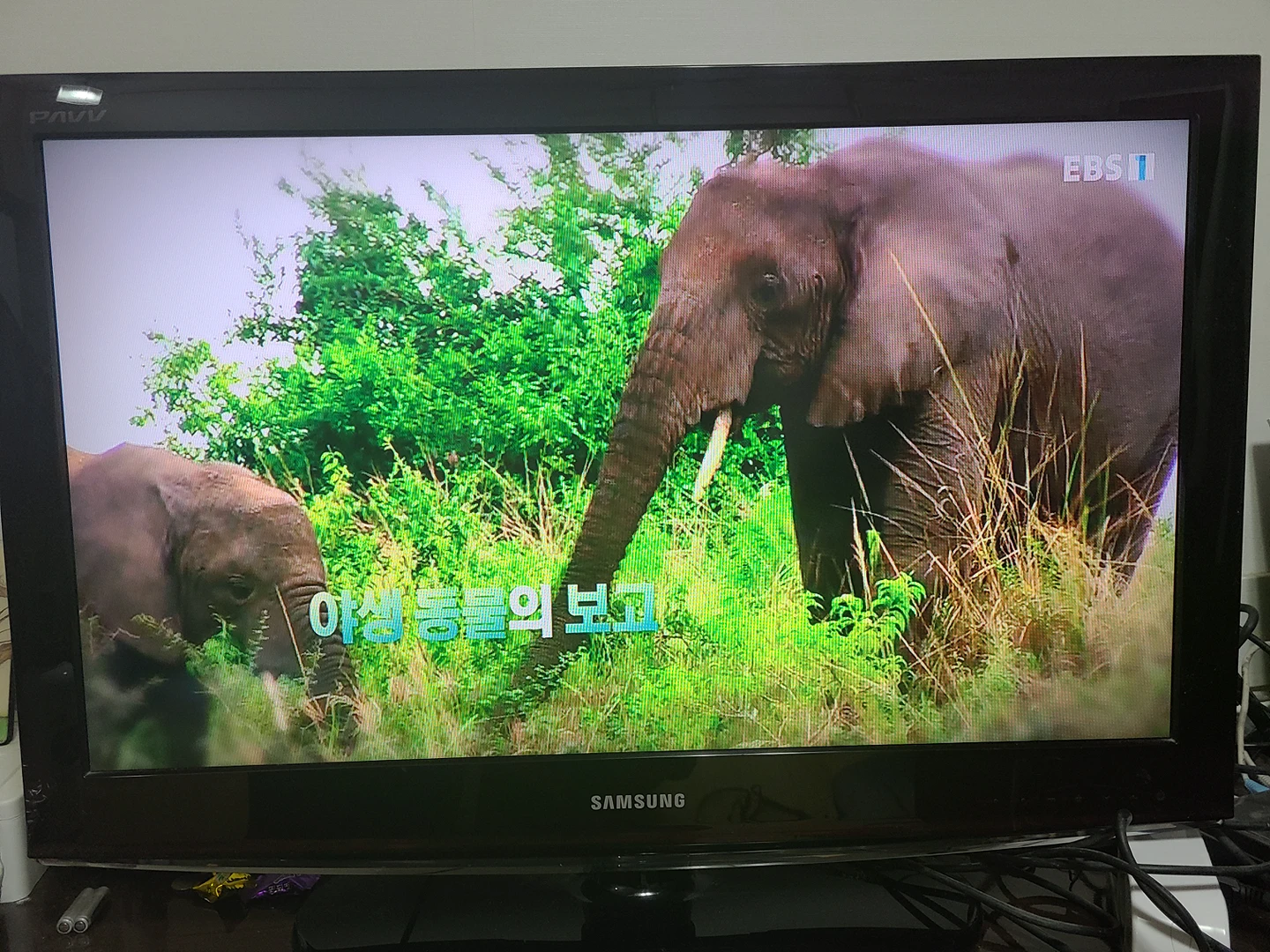 삼성 TV LN32C450 | 당근 중고거래