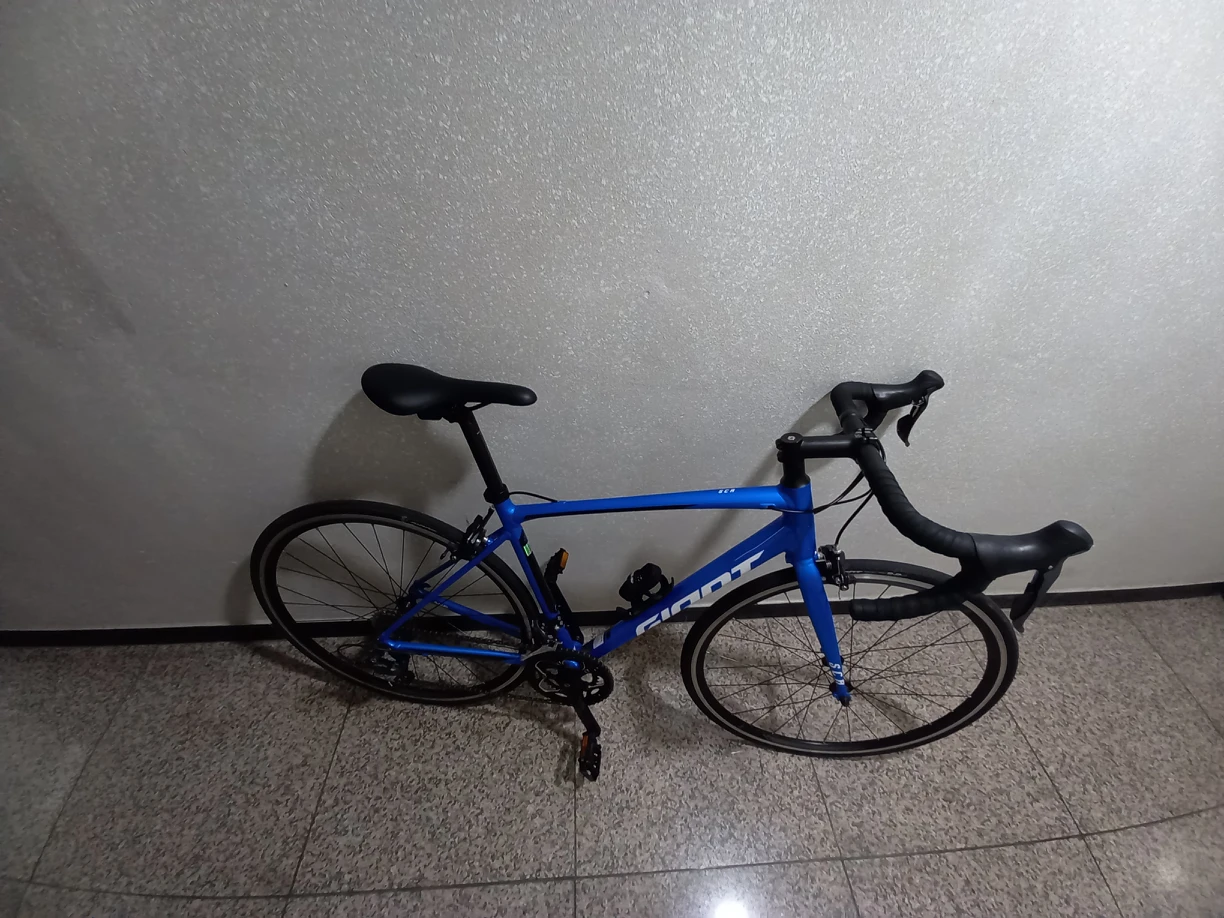 자이언트 SCR2 2022 (로... | 당근 중고거래