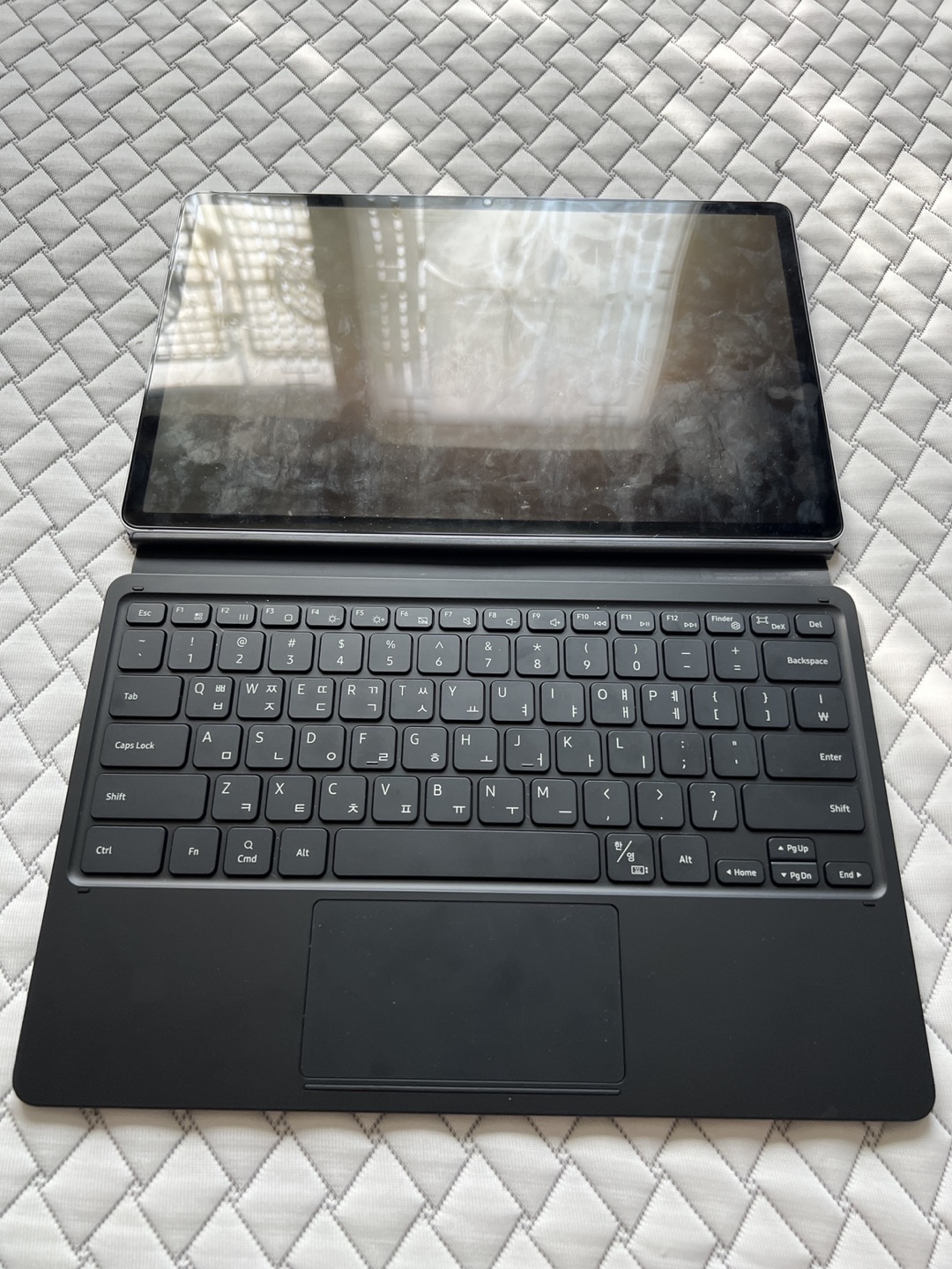 갤럭시탭 s8+ 256 와이파이 판매 | 당근 중고거래