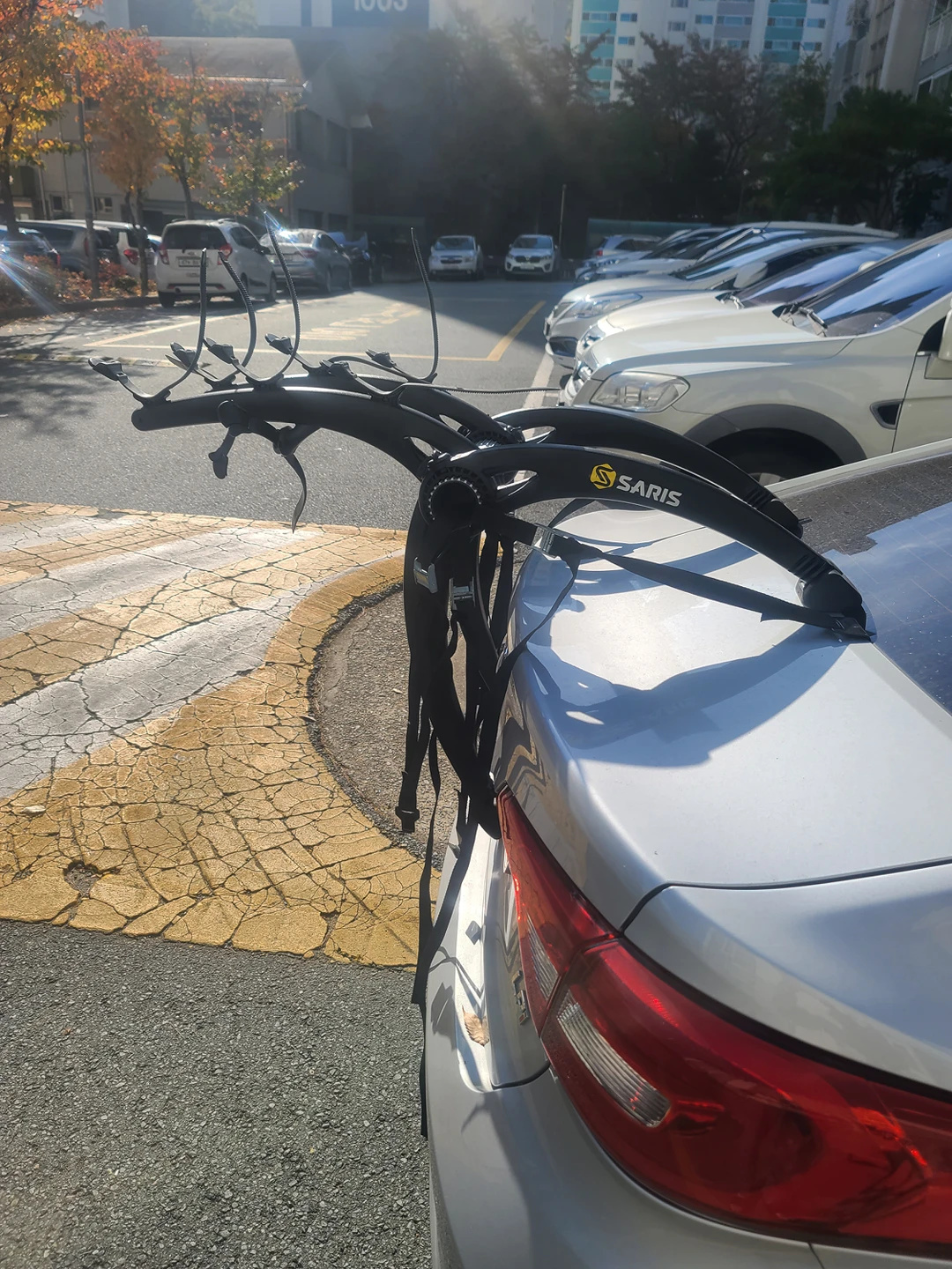 자전거 자동차 거치대 사리스 본즈3 당근마켓 중고거래