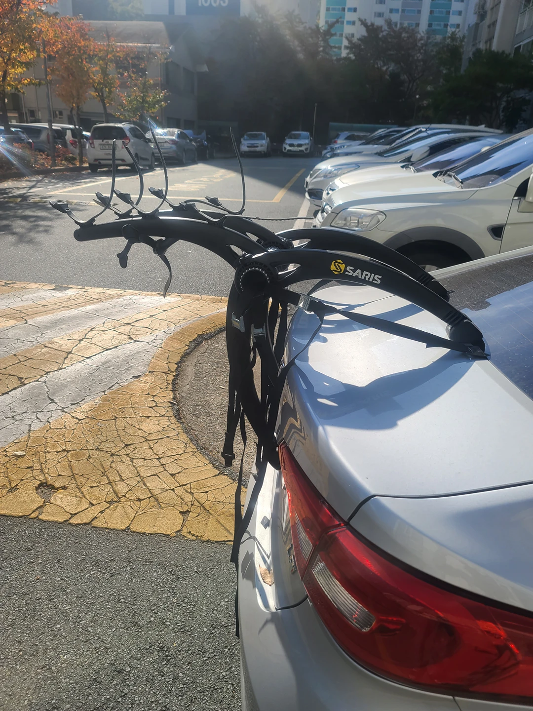 자전거 자동차 거치대 사리스 본즈3 당근마켓 중고거래