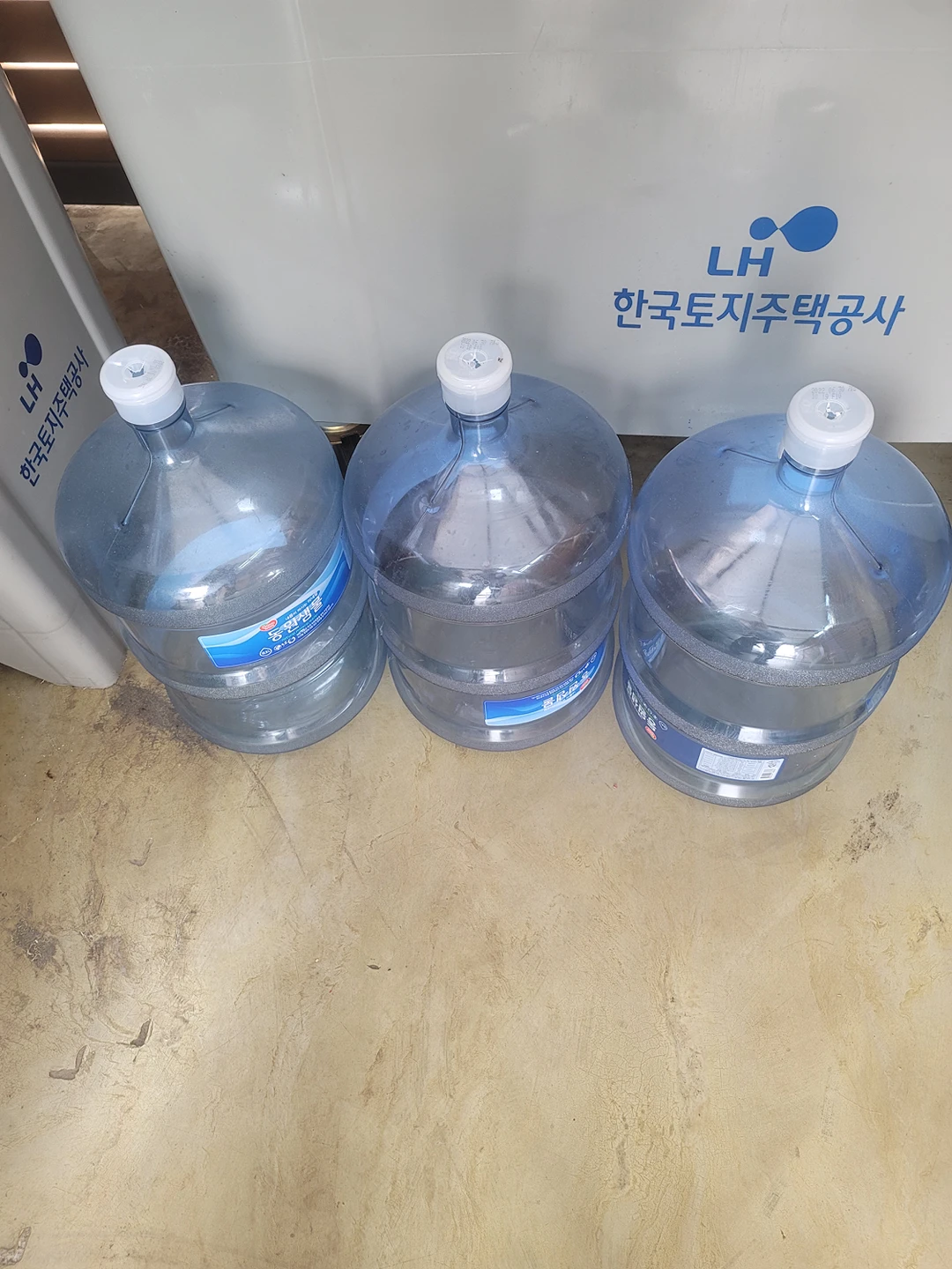 물통 당근 중고거래