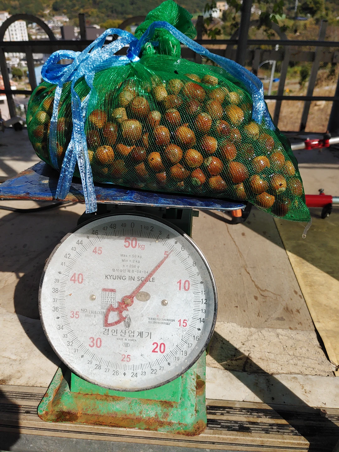 도토리 당근 중고거래