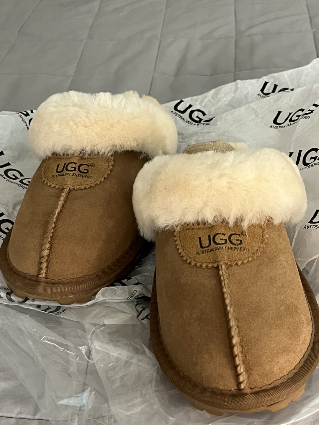 [어그/UGG] 호주 어그 코케... | 당근마켓 중고거래