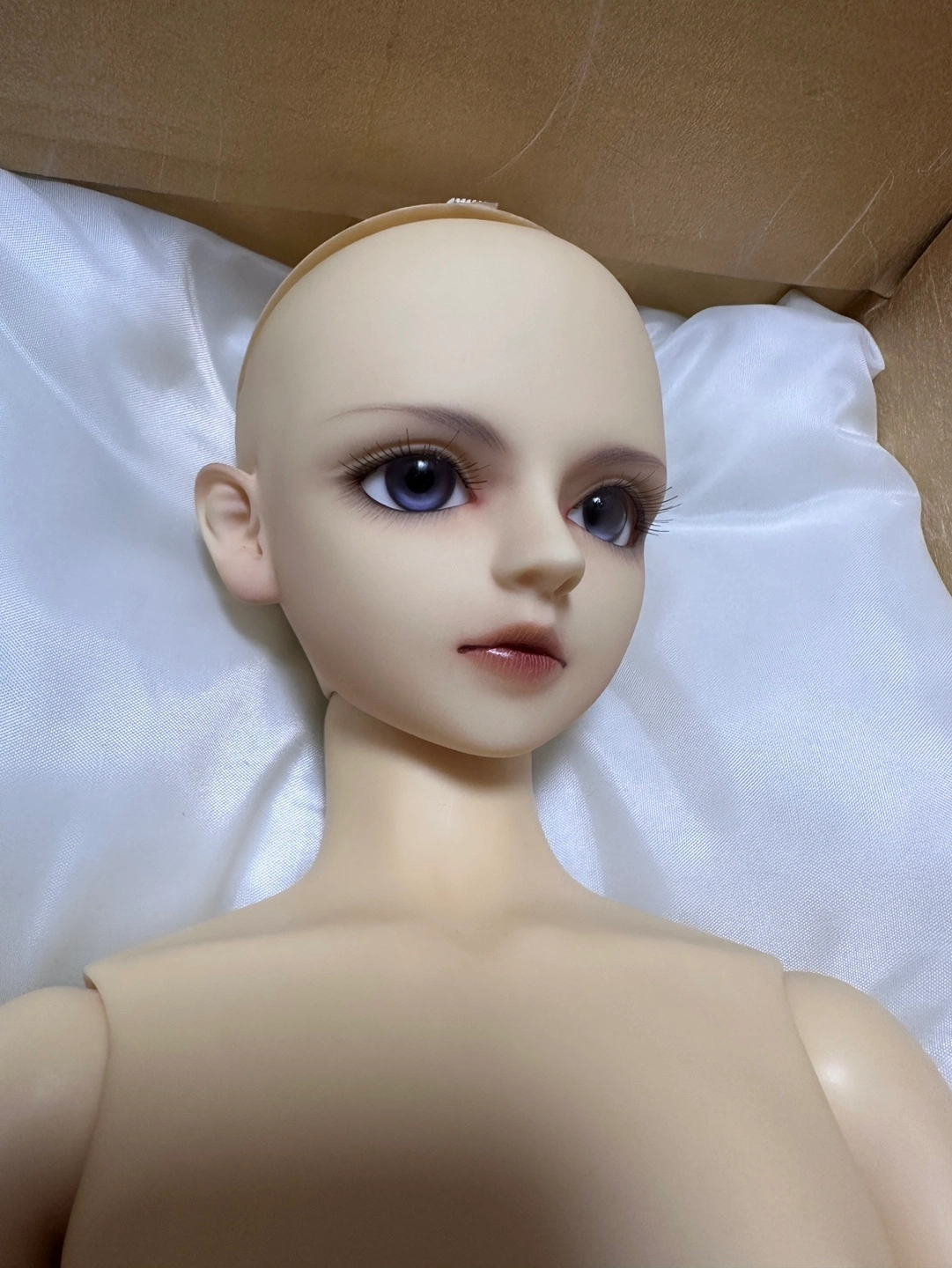 보크스 구관 구체관절인형 슈퍼돌피 sd 아나이스 2nd sd13 타치바나 시로 일괄 판매 | 취미/게임/음반 | 당근 중고거래