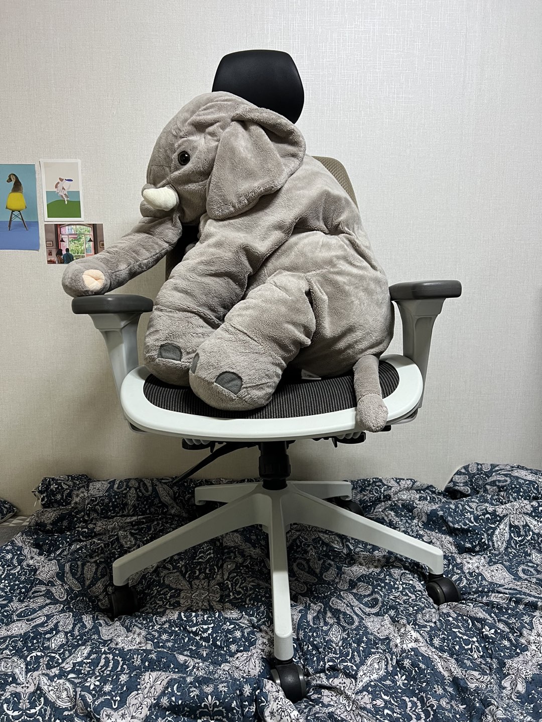 듀오백 dk-2500gp-mw ... | 당근 중고거래