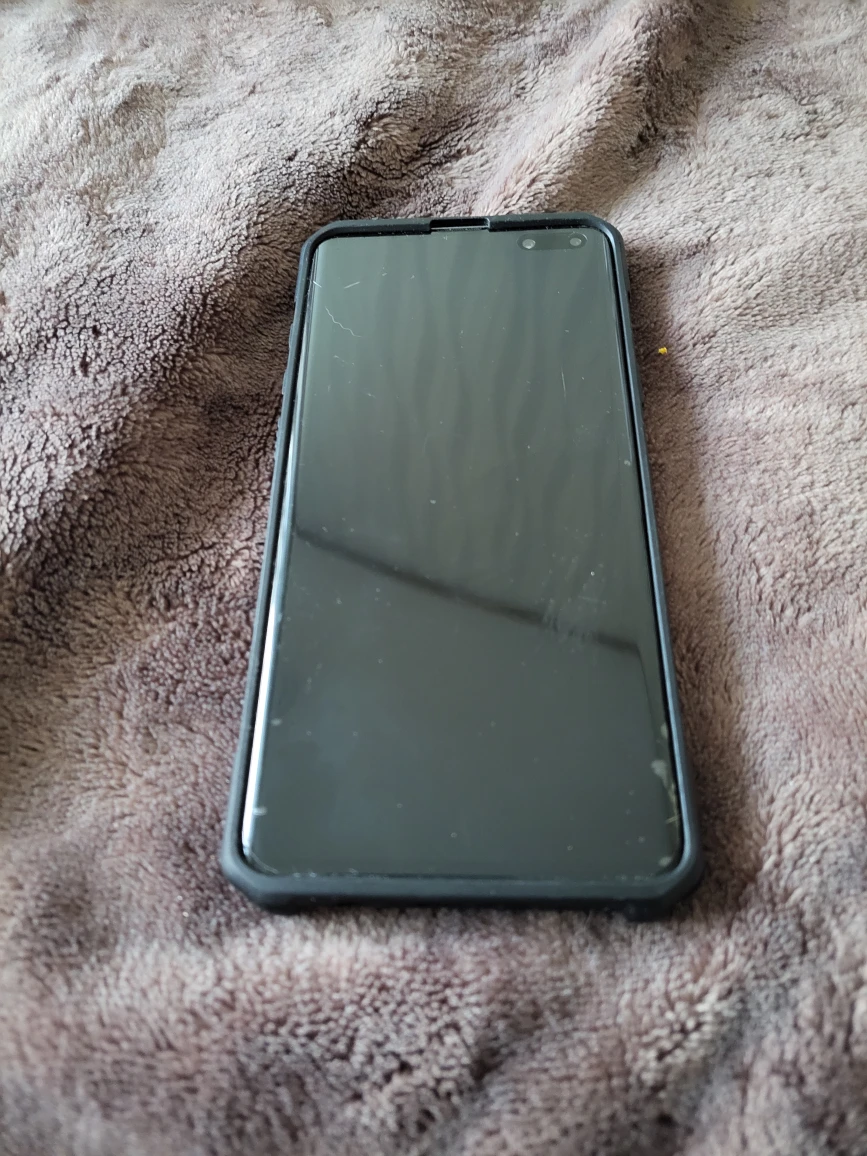 s10 5g 256g 파손 급처 | 당근 중고거래