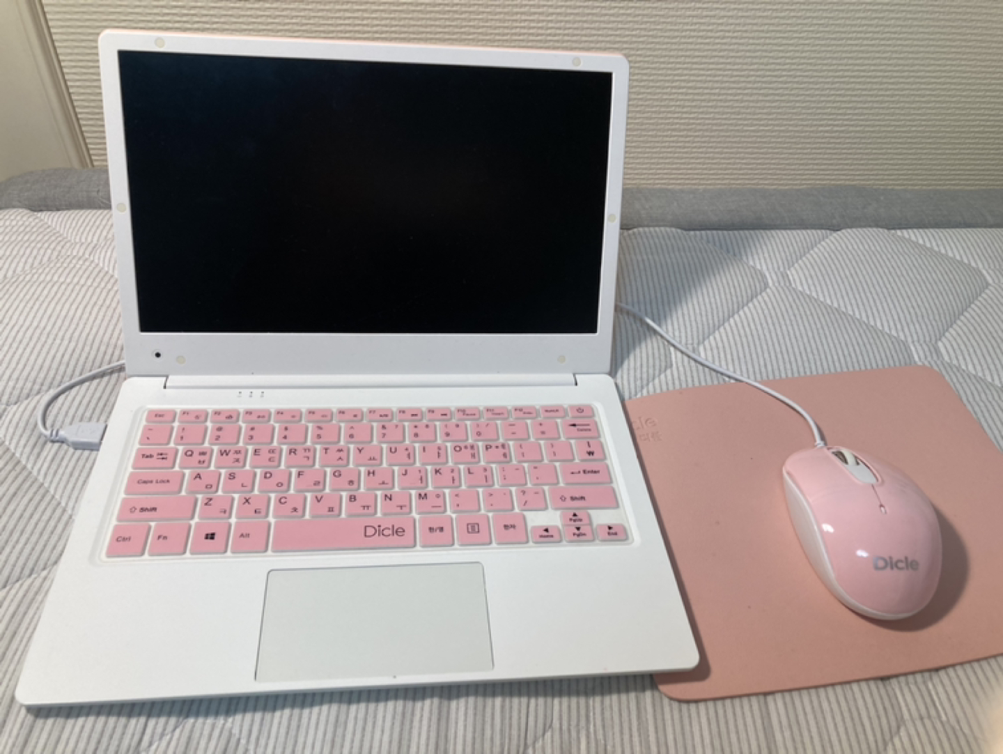 디클 클릭북 D11 window 10 | 당근 중고거래