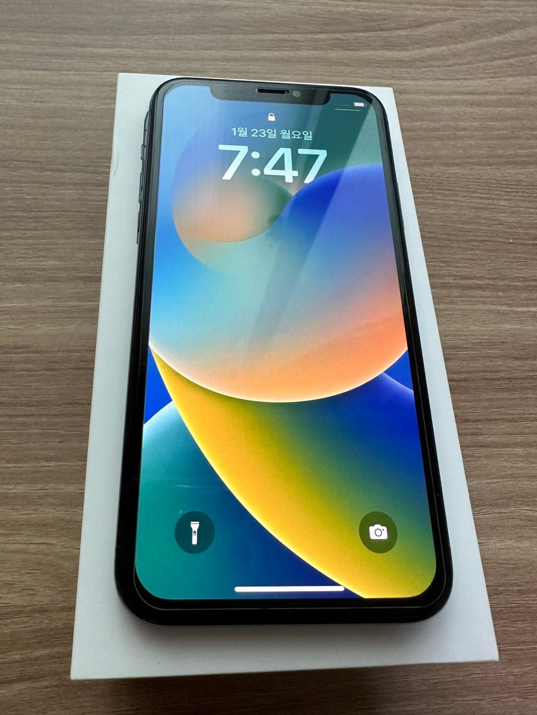 x 256 x 256