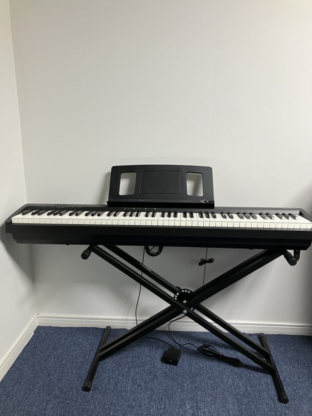 롤랜드(Roland) FP-10... | 당근 중고거래