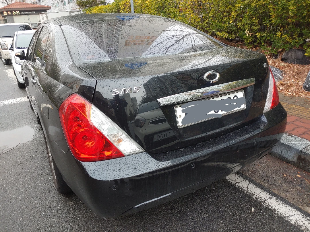 르노코리아 뉴 SM5 임프레션 DF 2.0 CVTC LE