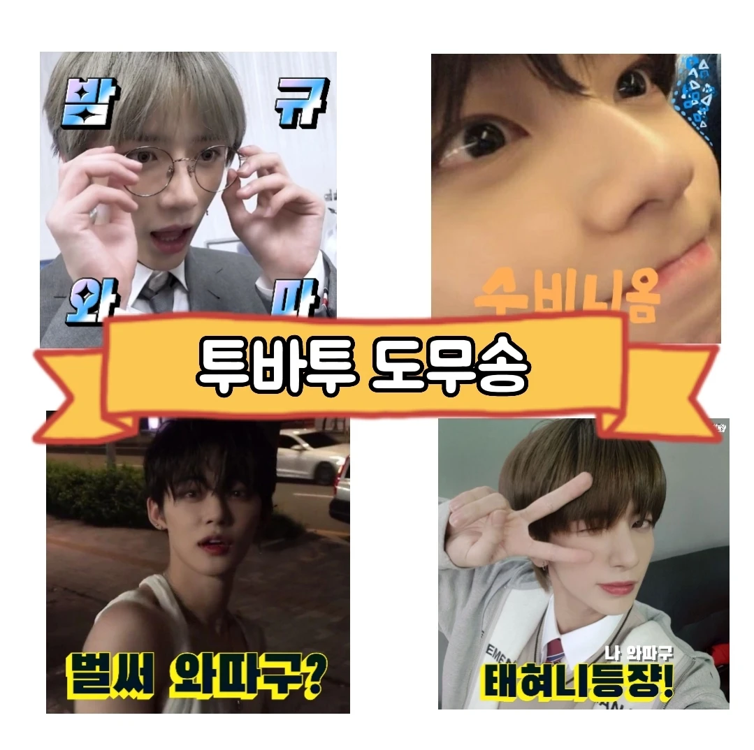 투바투 도무송 당근마켓 중고거래