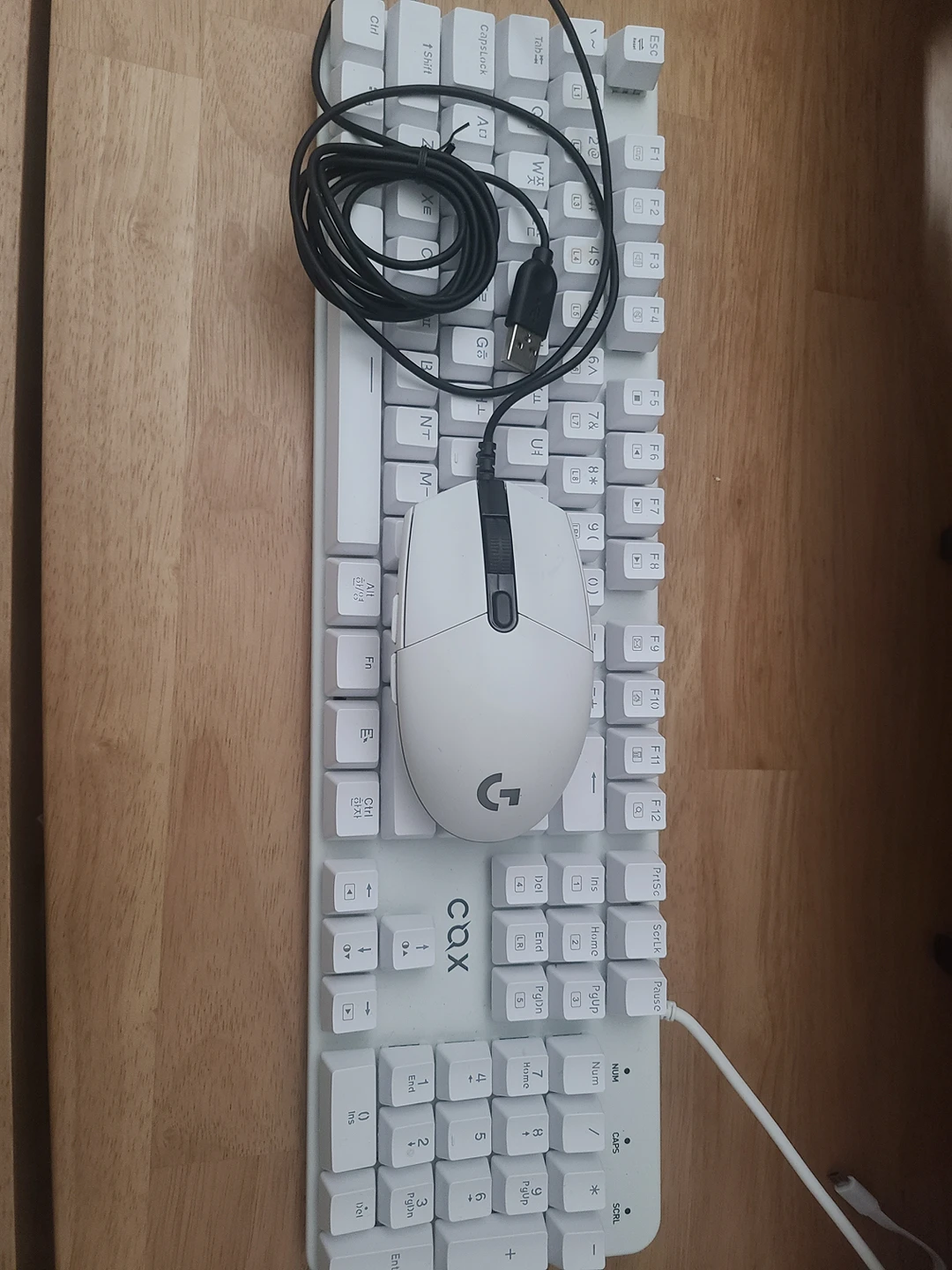 ck420 청축 키보드 팝니다!... | 당근 중고거래