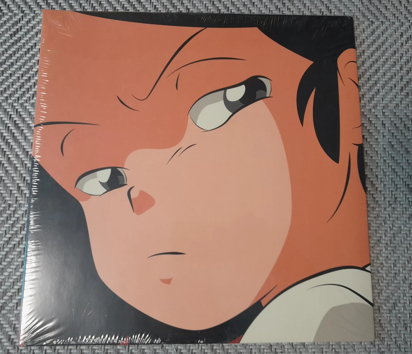 adoy 아도이 catnip lp | 당근 중고거래