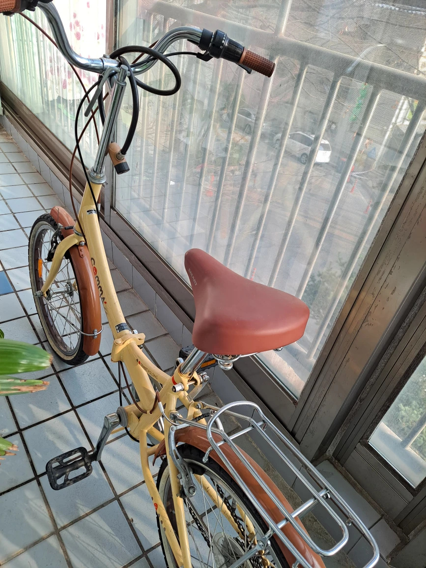 저학년자전거 당근마켓 중고거래