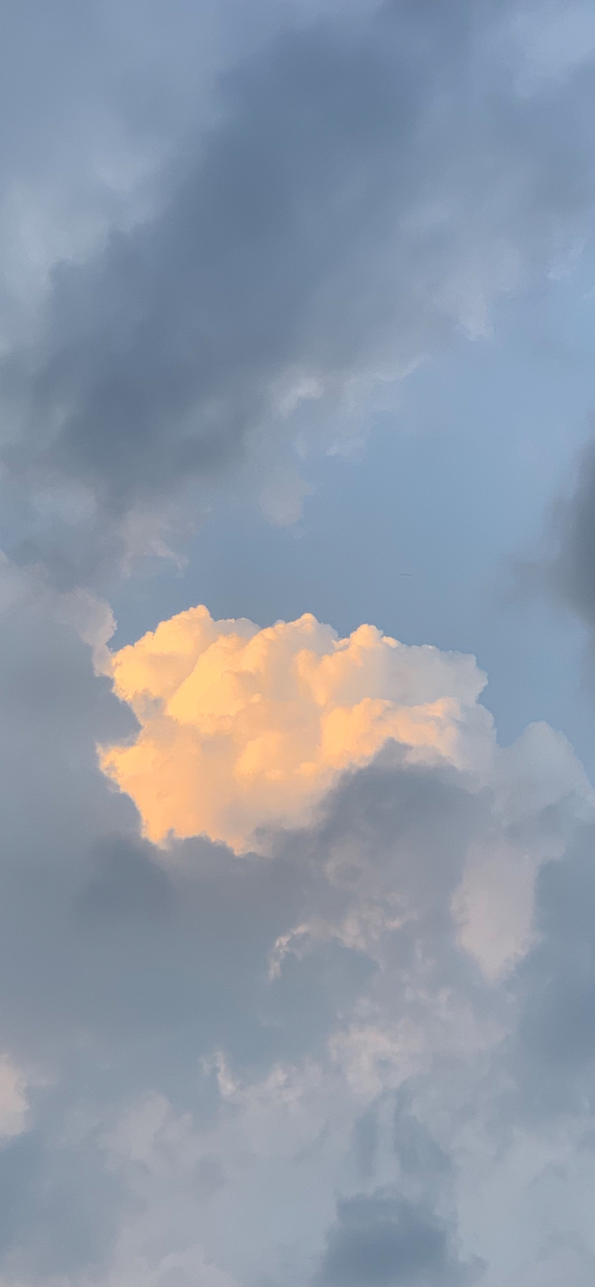 오버핏 브라운 맨투맨 105xl... | 당근 중고거래