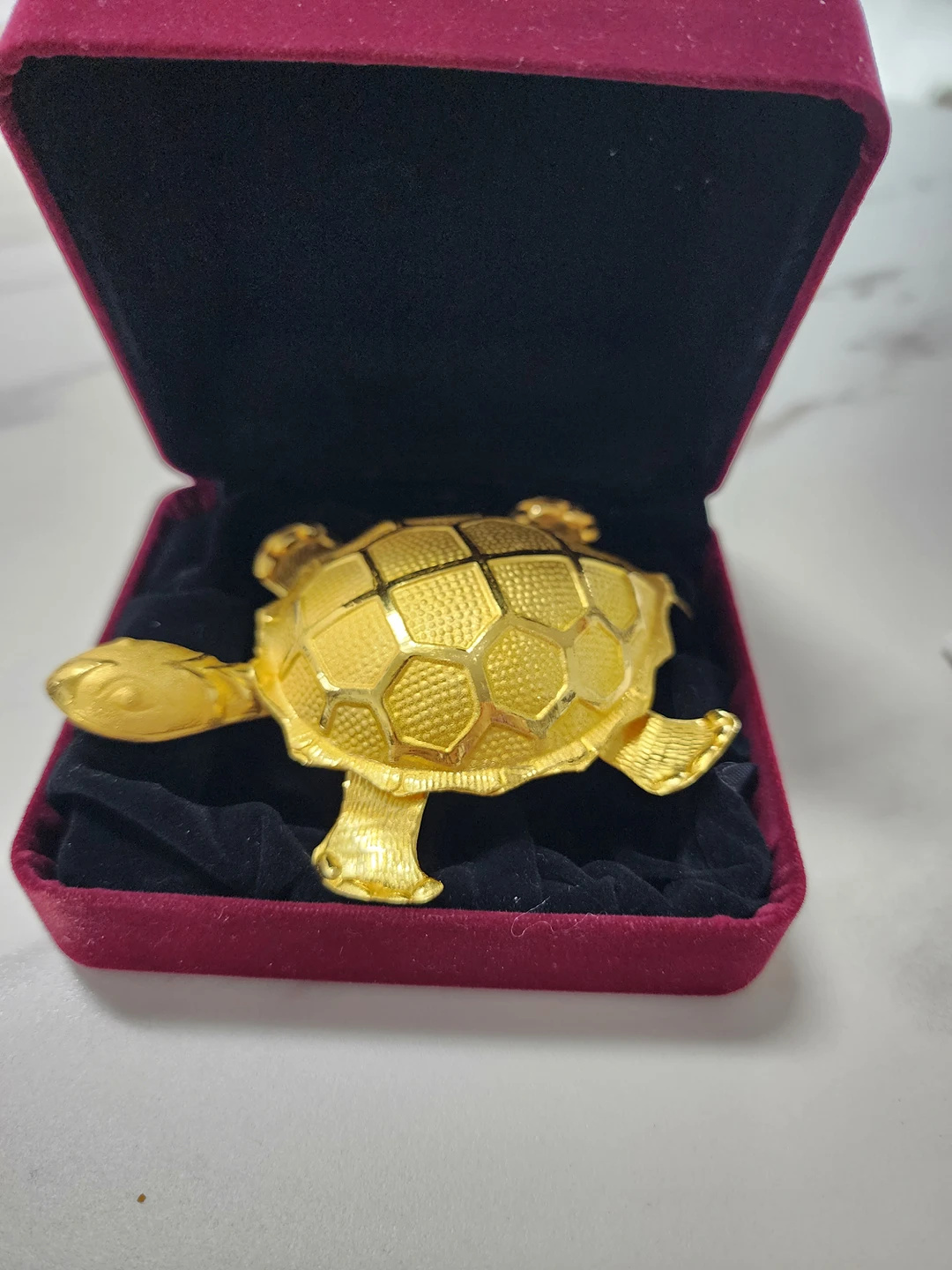 금 거북이 당근마켓 중고거래
