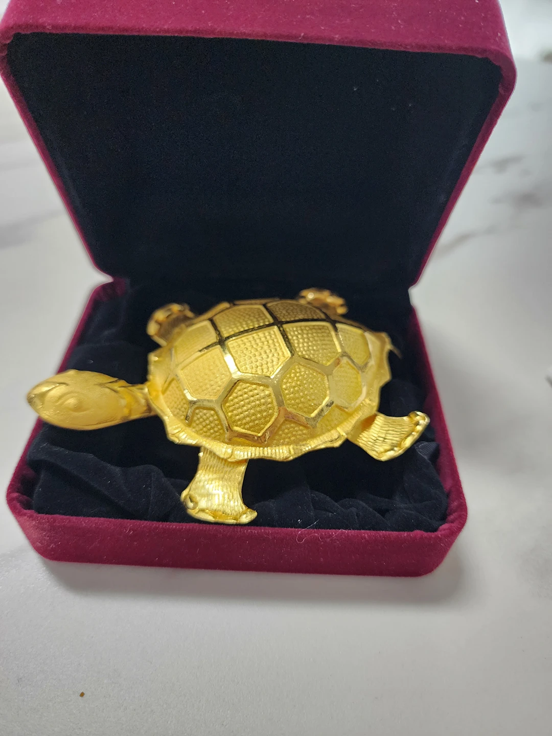 금 거북이 당근마켓 중고거래