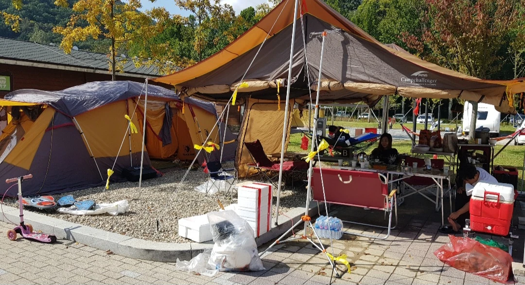 스노우피크 4각 L타프 pms... | 당근 중고거래