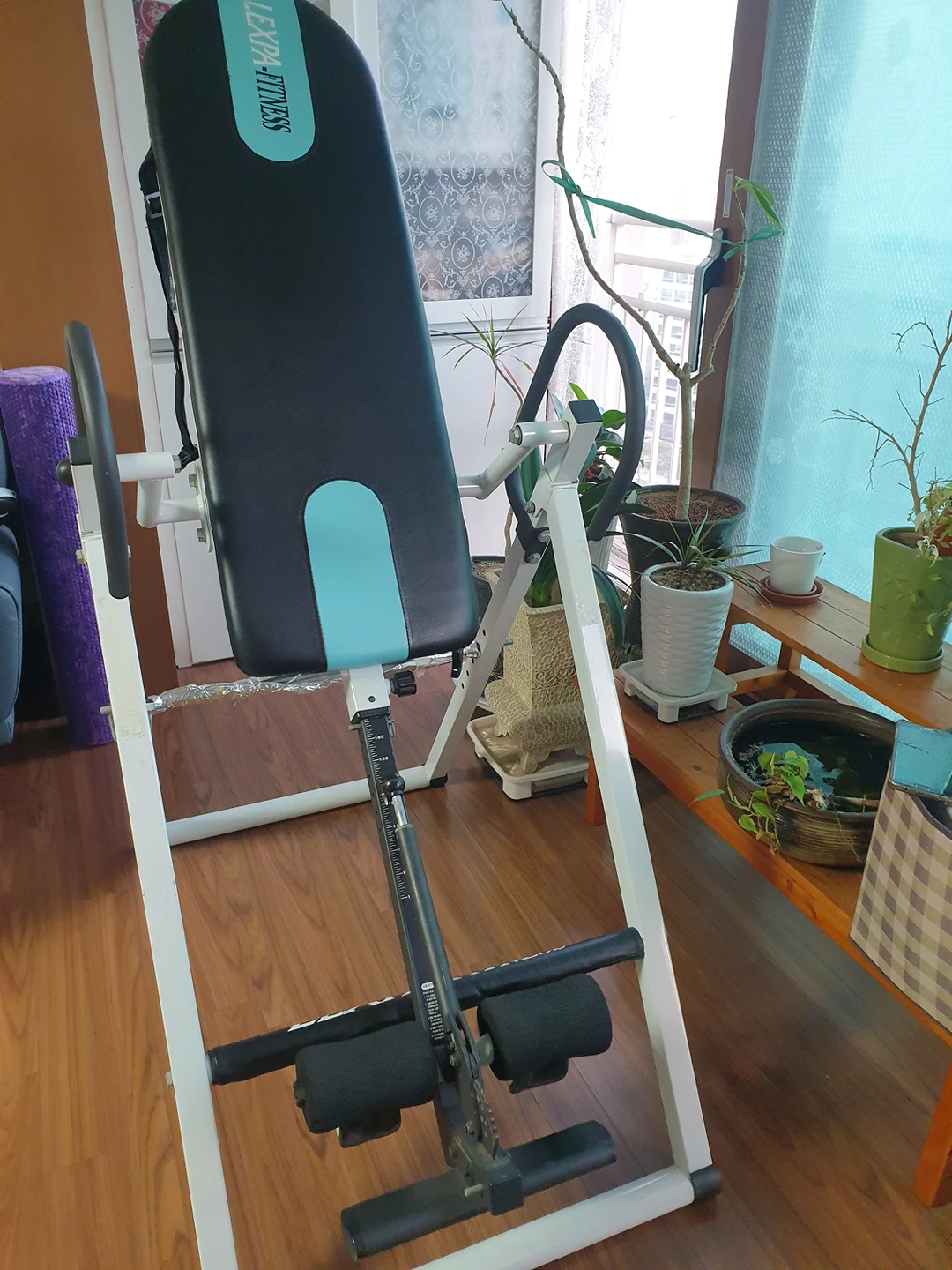 거꾸리 운동기구 꺼꾸리 당근마켓 중고거래