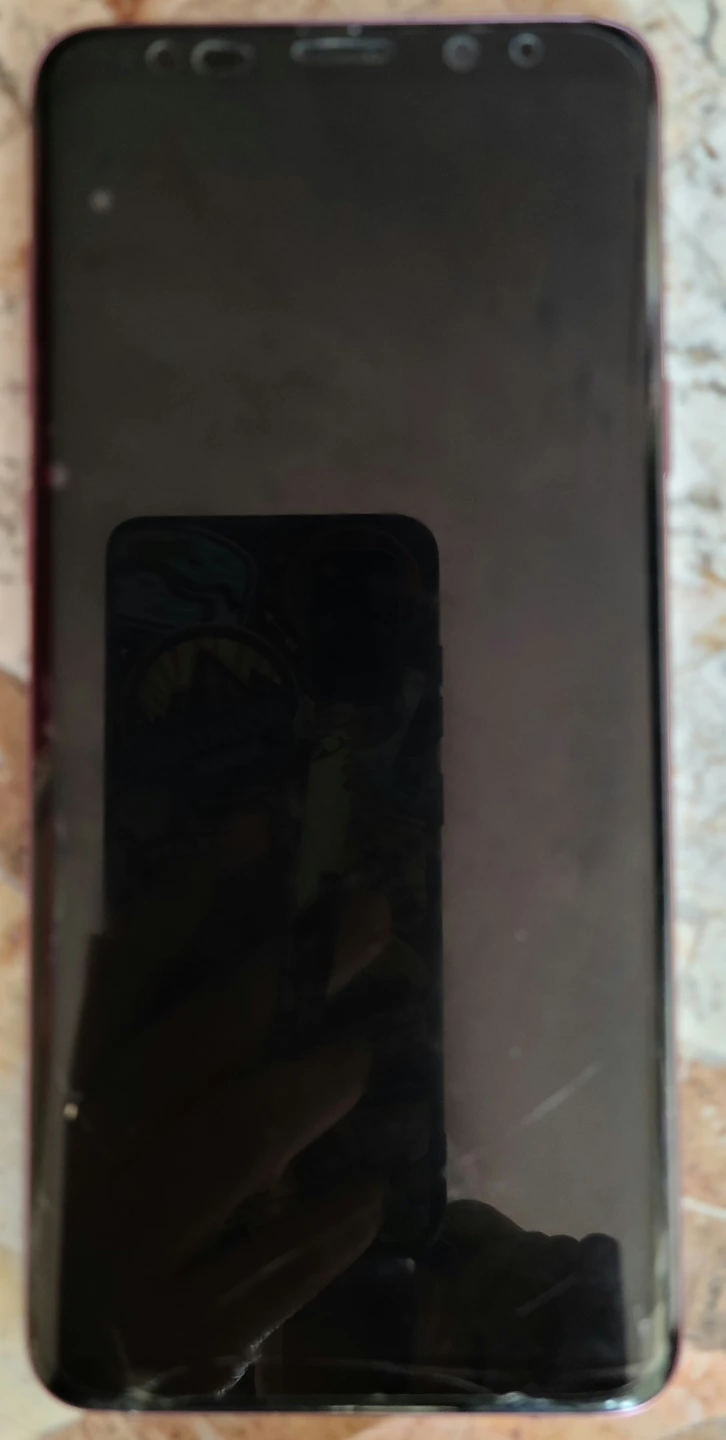 갤럭시 S9+ 256 기가 | 당근 중고거래