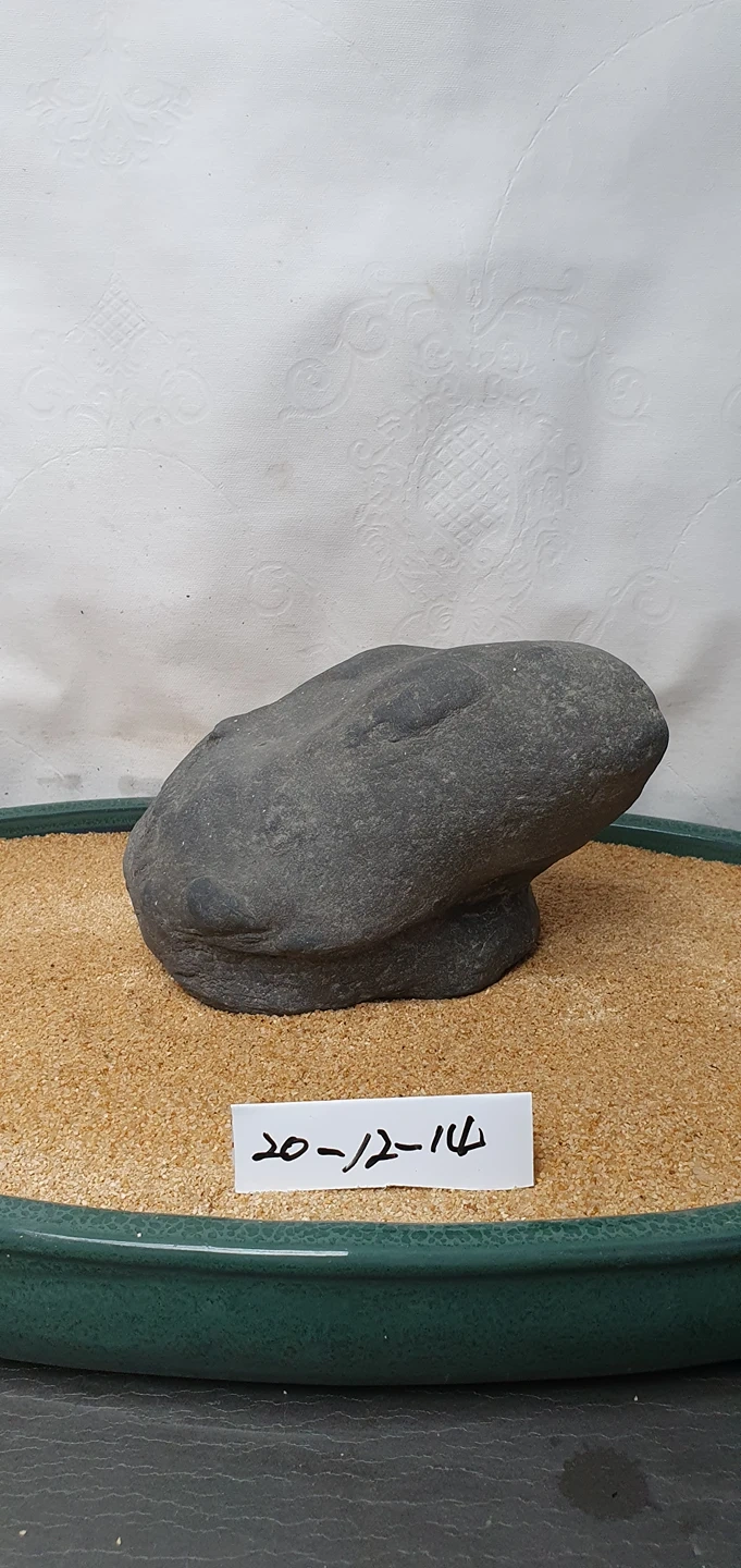 수석 일명두꺼비 당근 중고거래