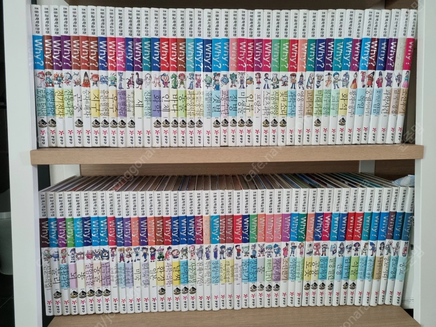 Why책 당근 중고거래