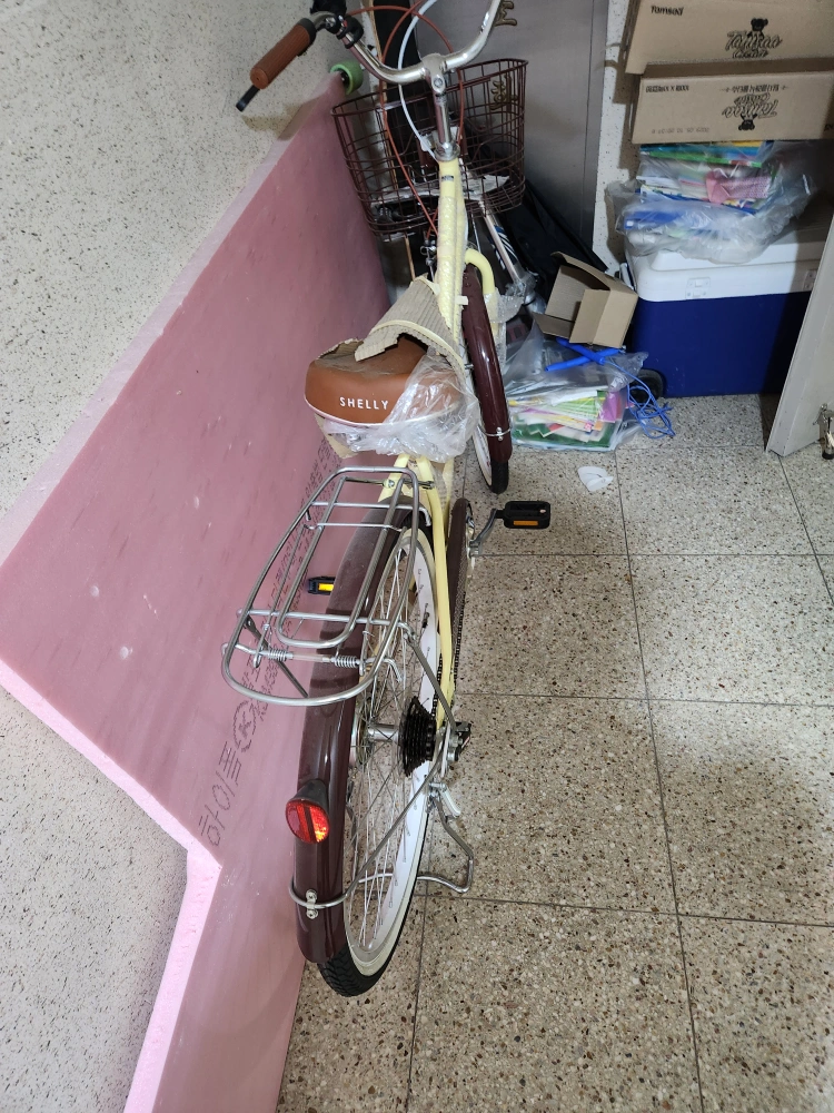 SHELLY자전거 | 당근 중고거래