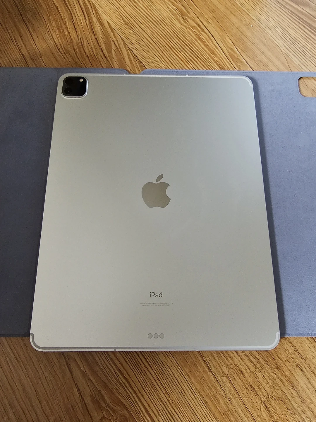 ipad pro5세대 12.9 ... | 당근 중고거래