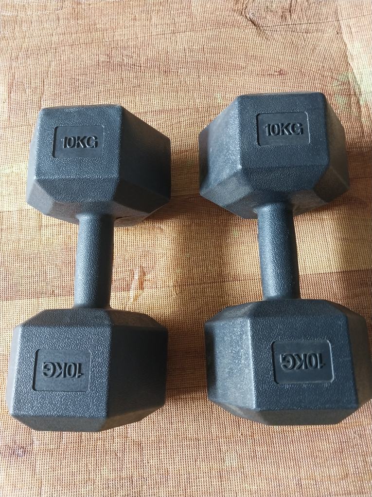 10kg×2 덤벨 | 당근 중고거래