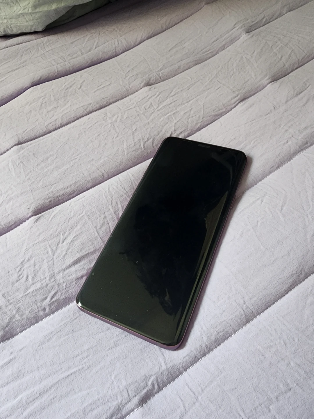 갤럭시 s9+ 256g 공기계 ... | 당근마켓 중고거래