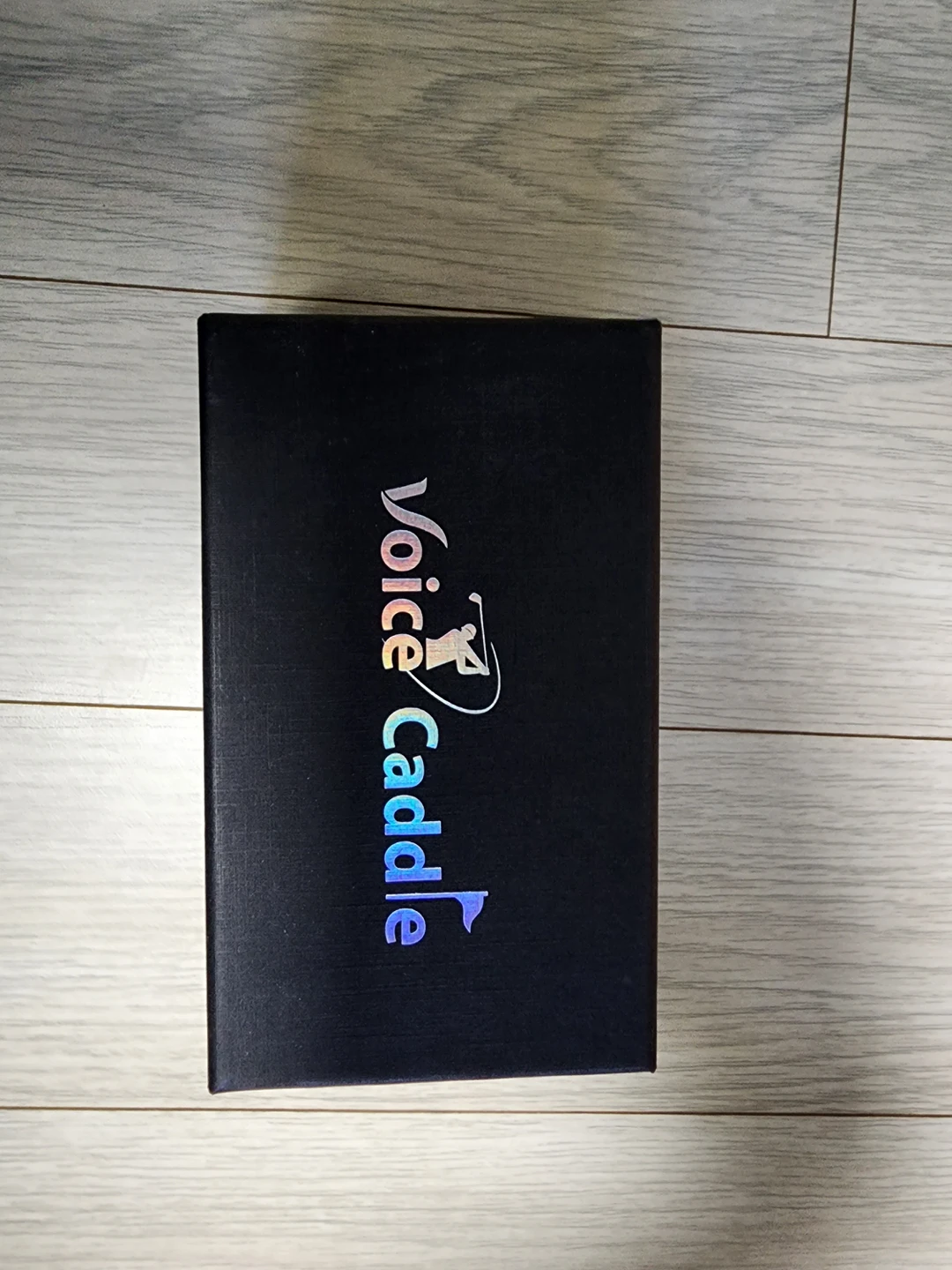 보이스캐디 VC 100(Voic... | 당근 중고거래