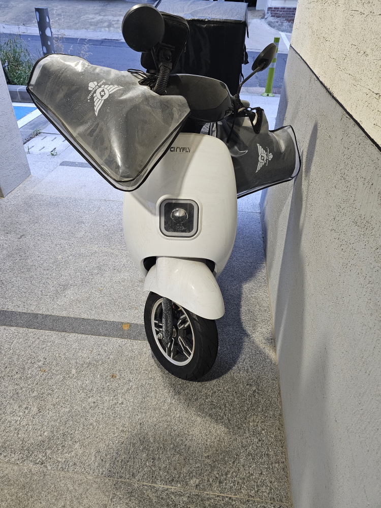 전기 오토바이 마실용 | 당근 중고거래