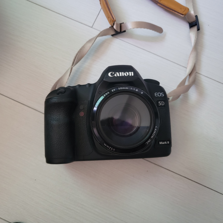 캐논 dslr 5D mark2 ... | 당근 중고거래