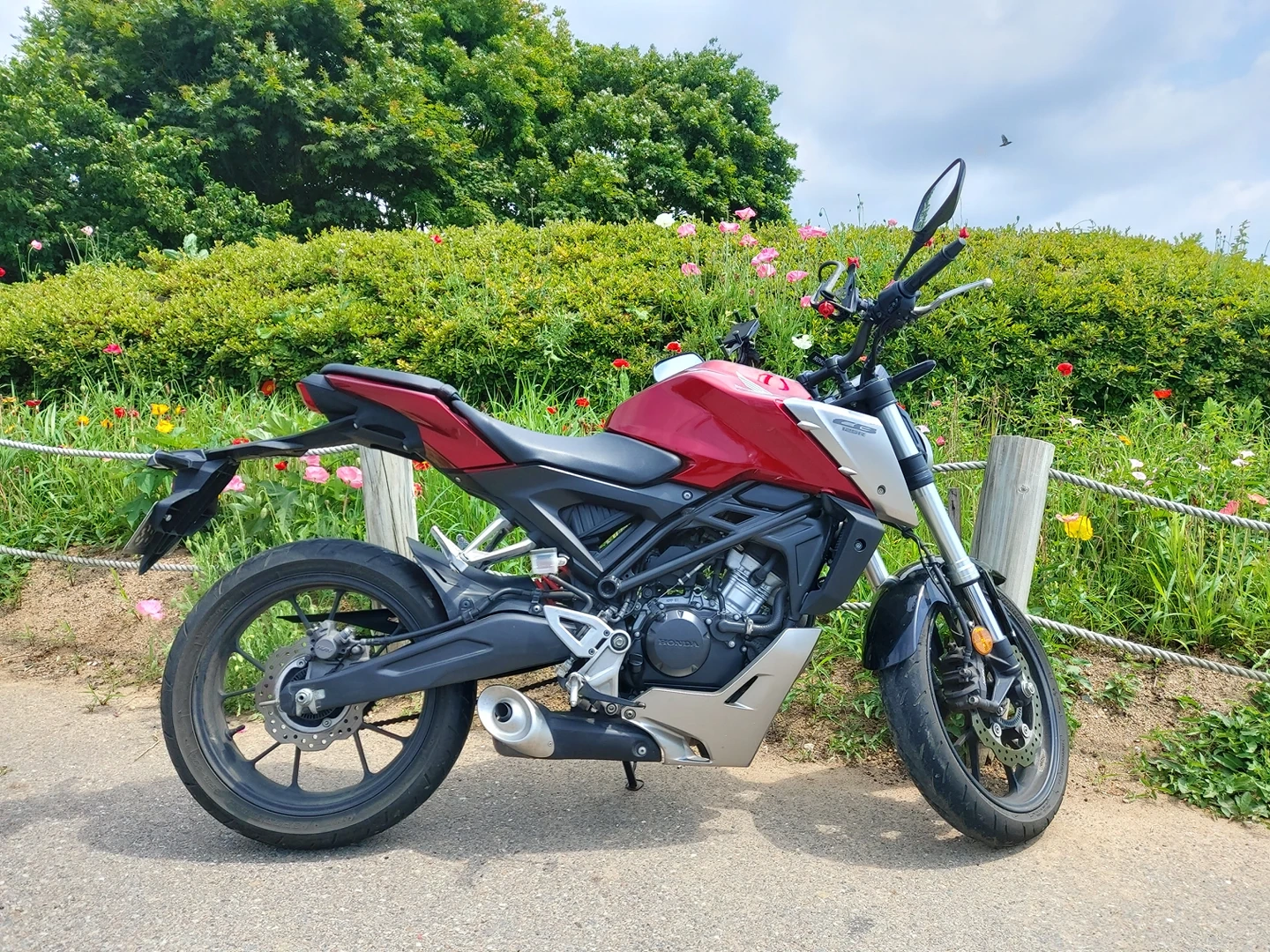 혼다의 명품바이크 CB125R ... | 당근 중고거래