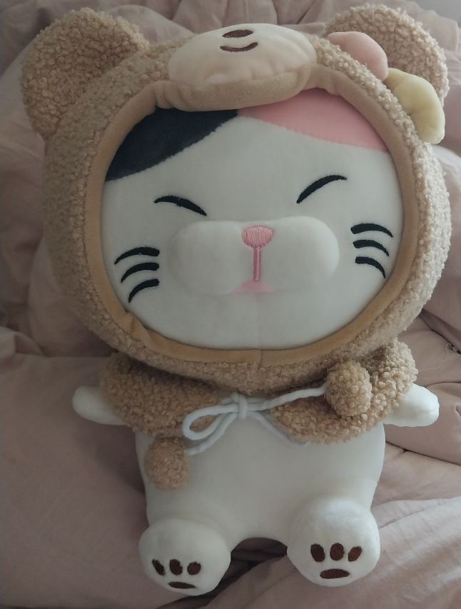 고양이 인형 당근마켓 중고거래