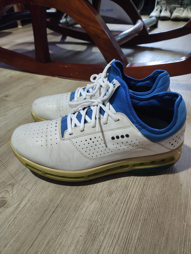 ECCO 골프 골프화 275mm | 당근 중고거래