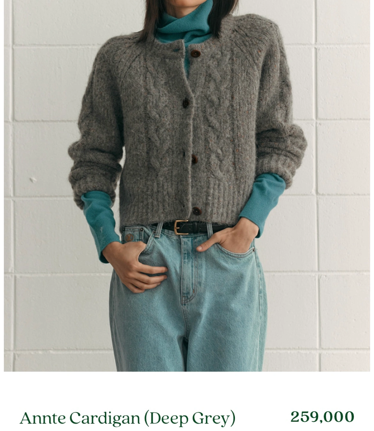 [새상품] 시엔느 annte c... | 당근 중고거래