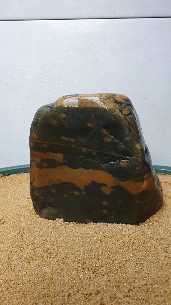 수석 | 취미/게임/음반 | 당근 중고거래