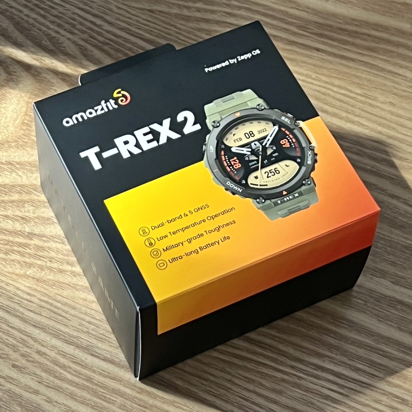 어메이즈핏 T-REX2 스마트워치 | 당근 중고거래