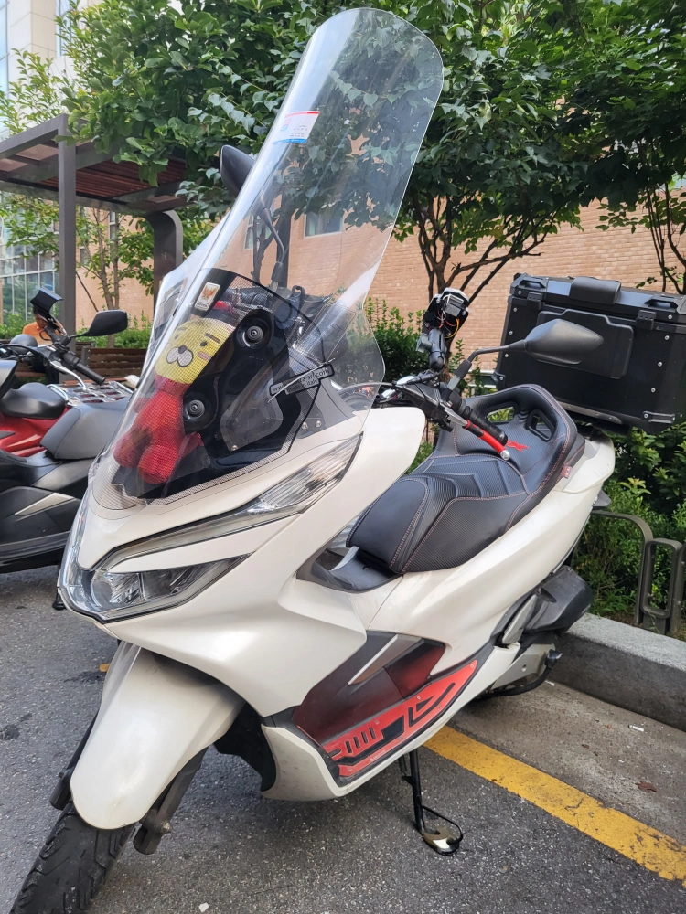 PCX 19년식 (폐지완료) | 당근 중고거래