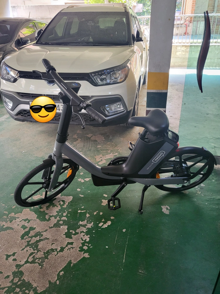 전기자전거 비아지오 HX5 | 화곡동 | 스포츠/레저 | 당근 중고거래