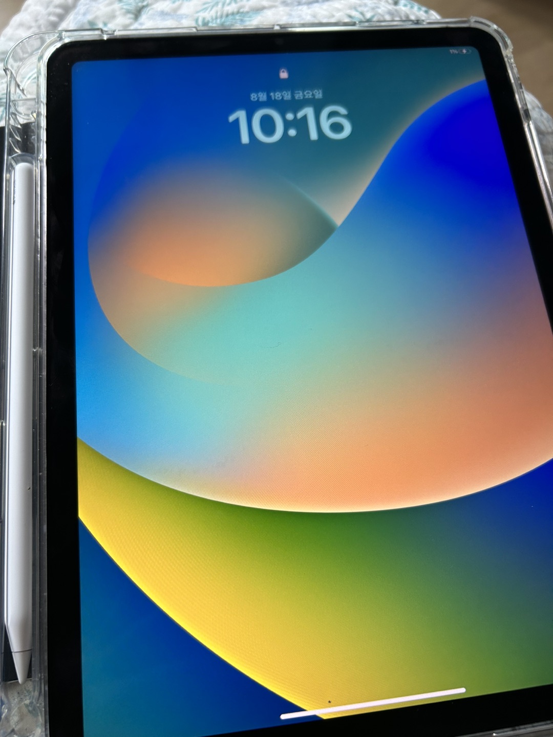 아이패드 에어 5 / 64g 풀... | 당근 중고거래