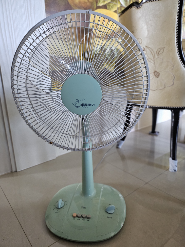 신일선풍기 당근 중고거래