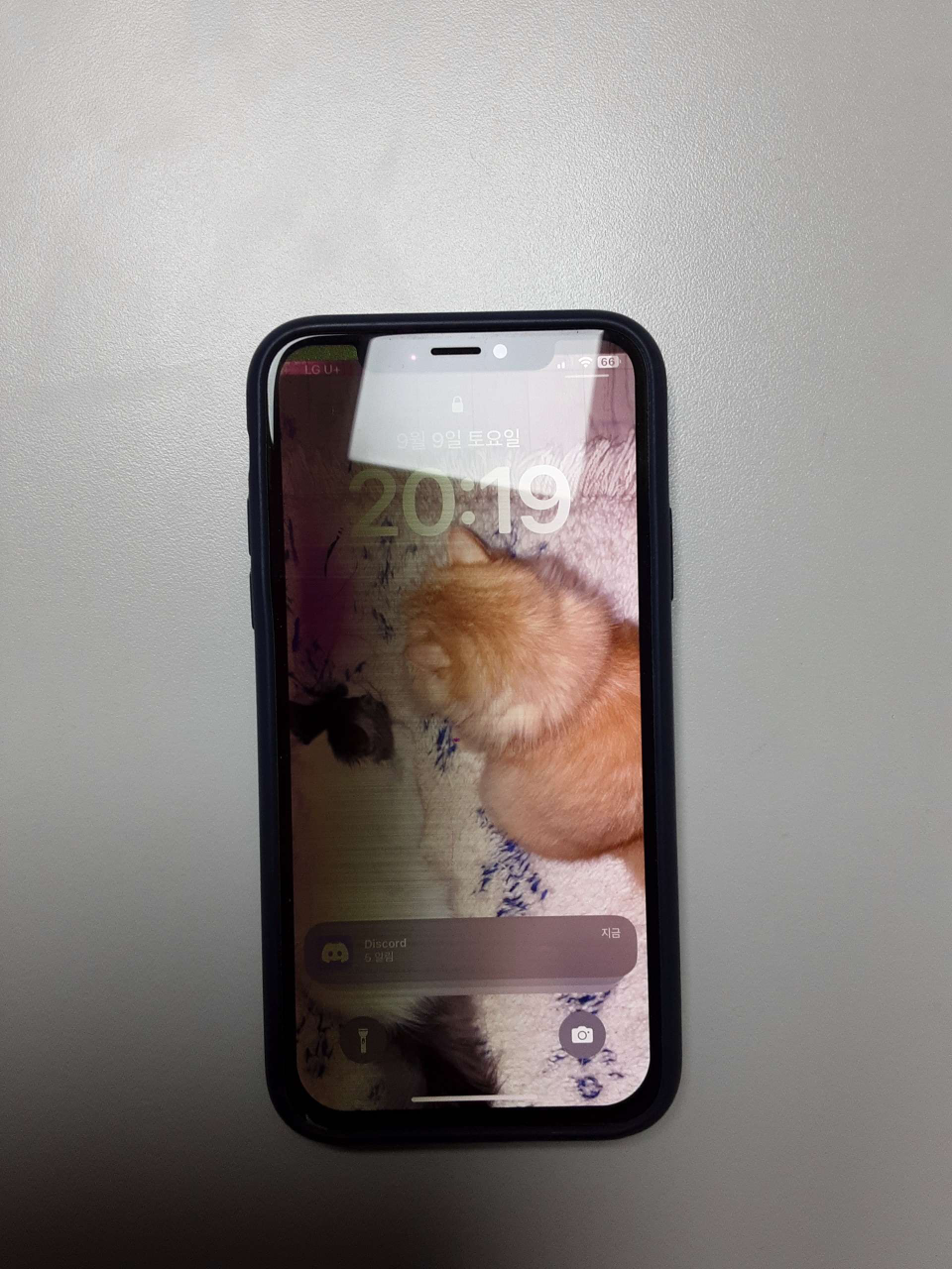 아이폰 X 64G 블랙 배터리 ... | 당근 중고거래