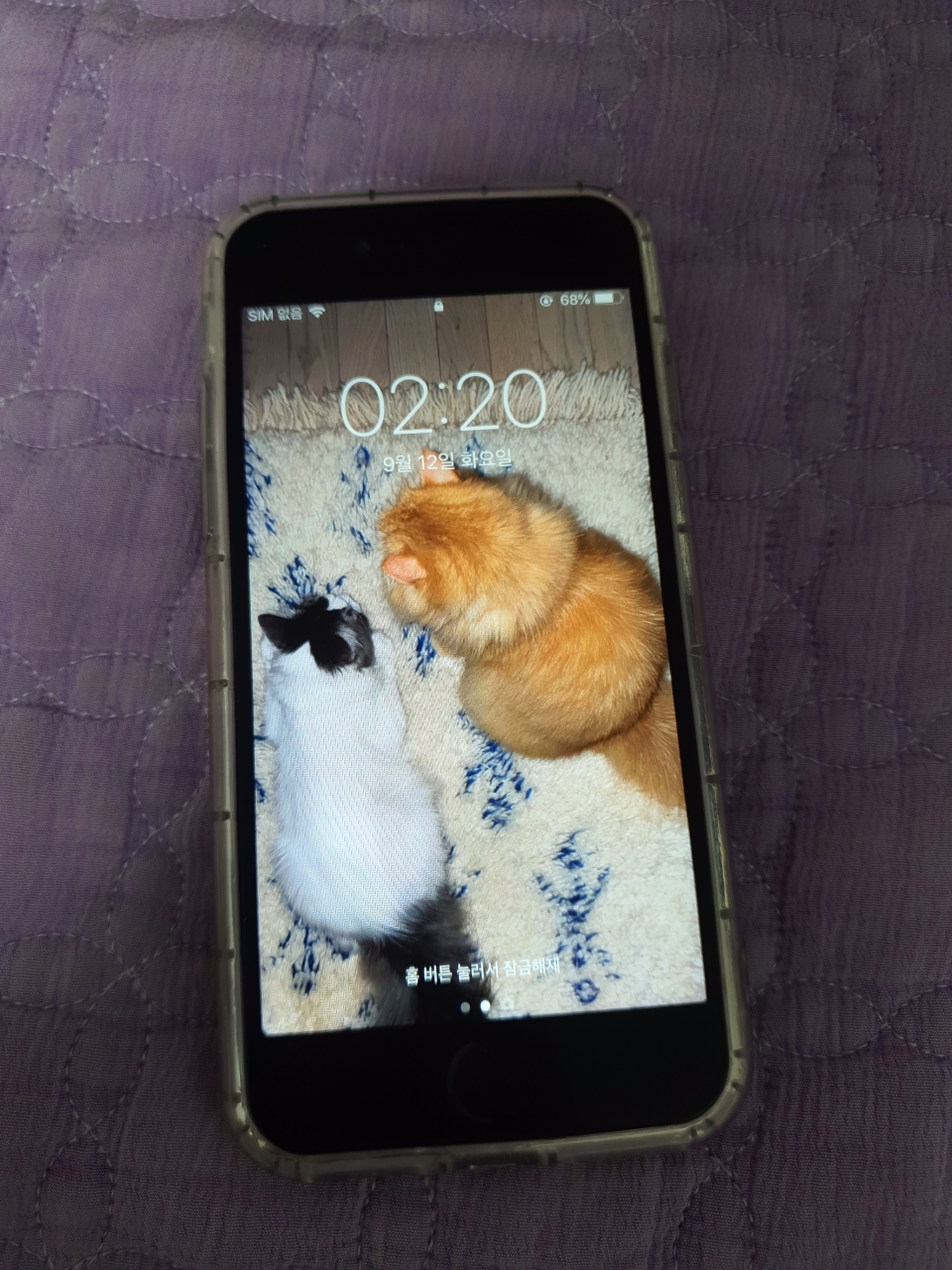 급처) 아이폰6 64G 스페이스... | 당근 중고거래